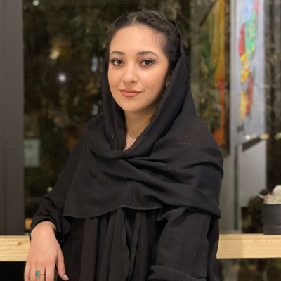 About us - Hooniak Band